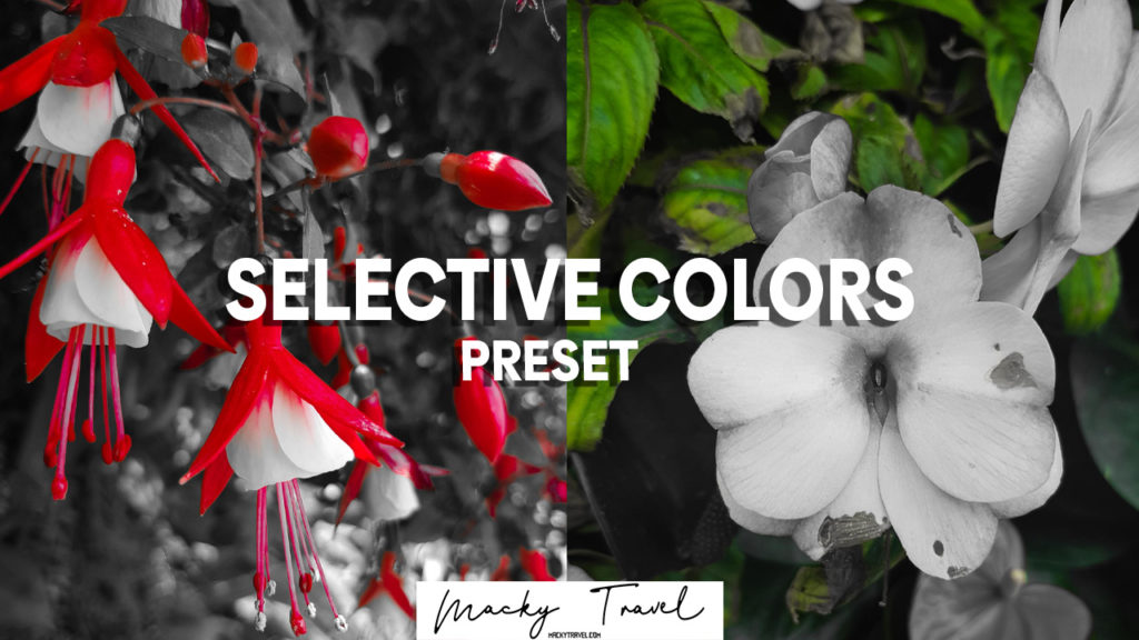 Selective Colors Preset for Lightroom Mobile - MACKY TRAVEL BLOG