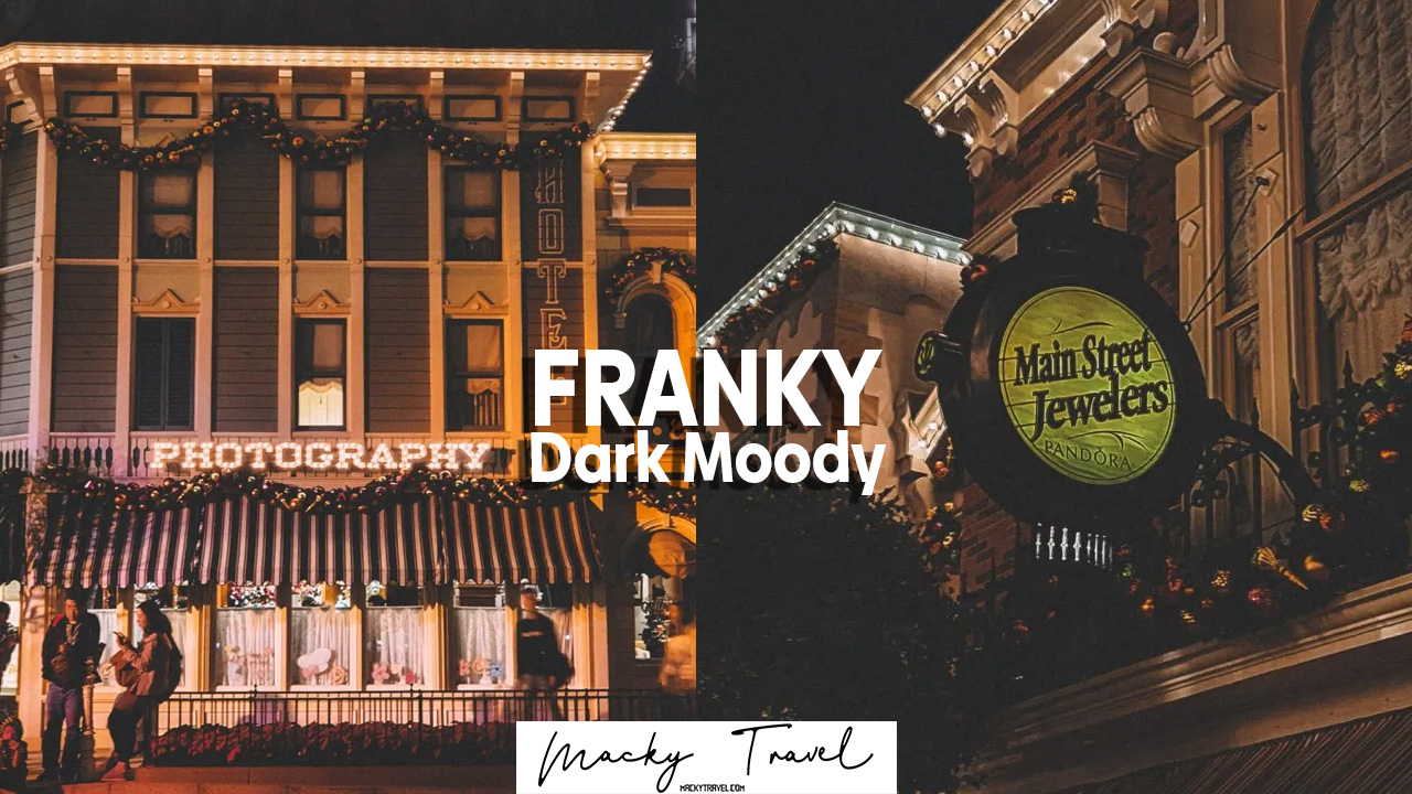 Franky Dark Moody Lightroom Mobile Preset – MACKY TRAVEL BLOG