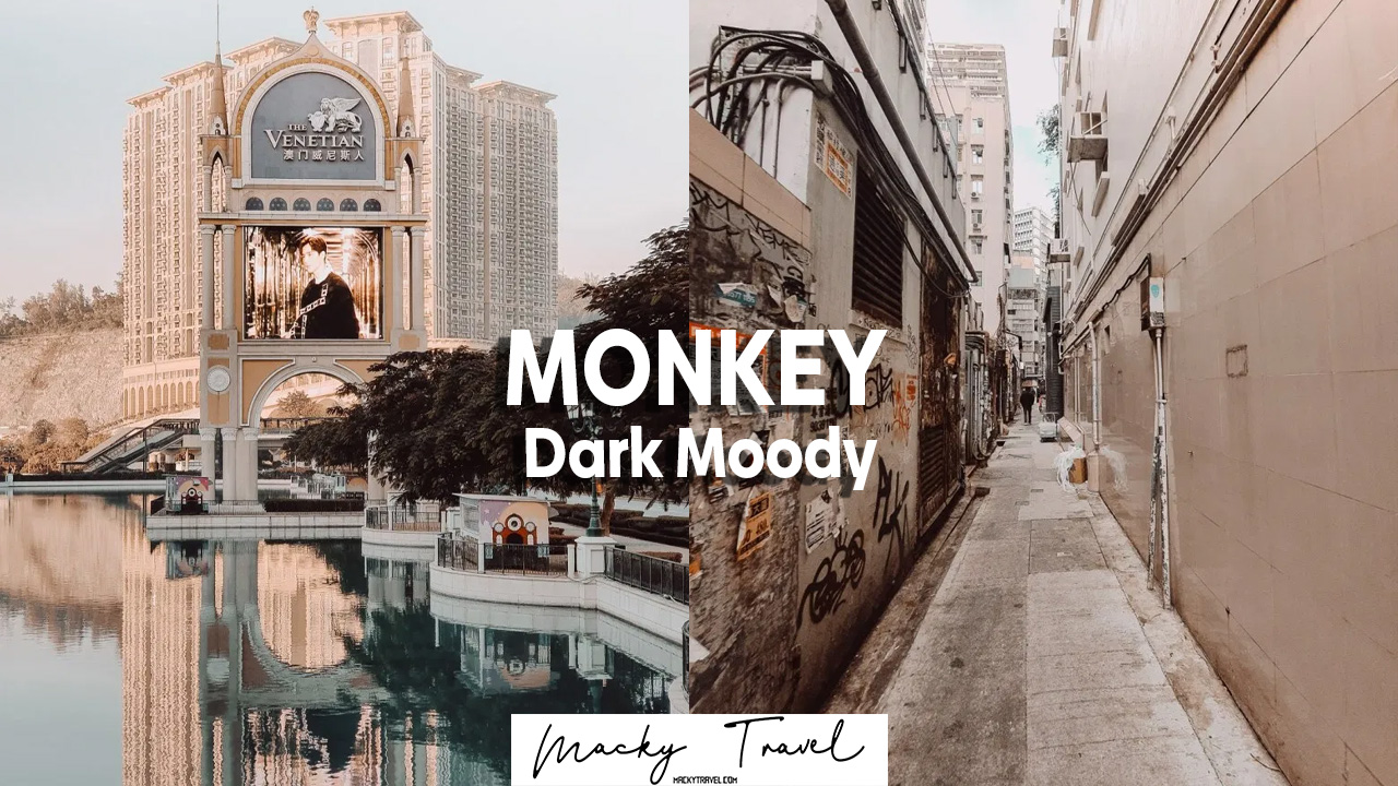 Monkey Dark Moody Lightroom Mobile Preset – MACKY TRAVEL BLOG