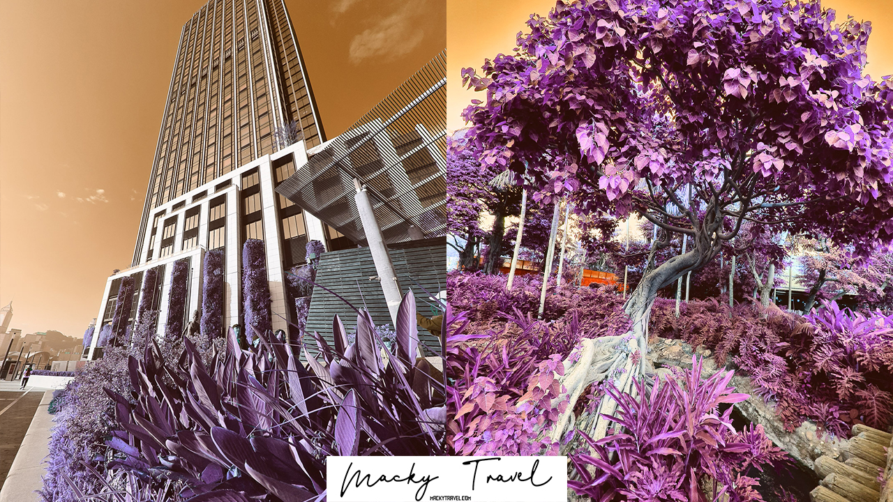 Infrared v1 Preset for Lightroom Mobile – MACKY TRAVEL BLOG