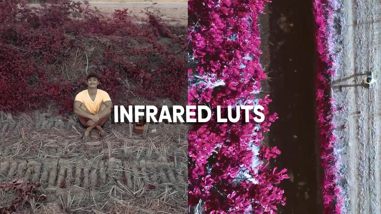 Infrared Luts for Adobe Premiere, Filmora and Final Cut – MACKY TRAVEL BLOG